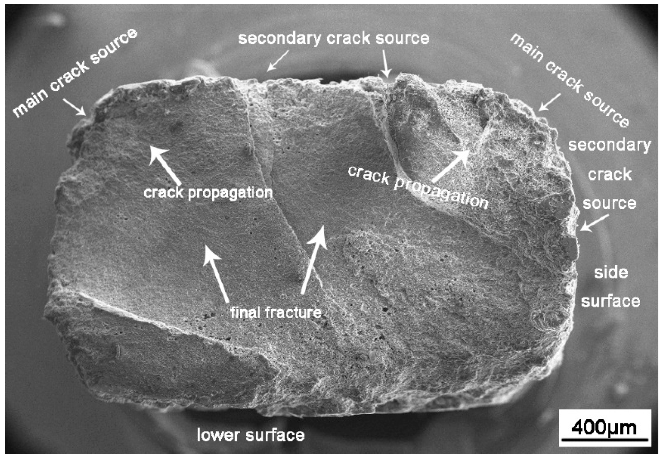 Corrosion Fatigue Fracture Characteristics of FSW 7075 Aluminum Alloy ...