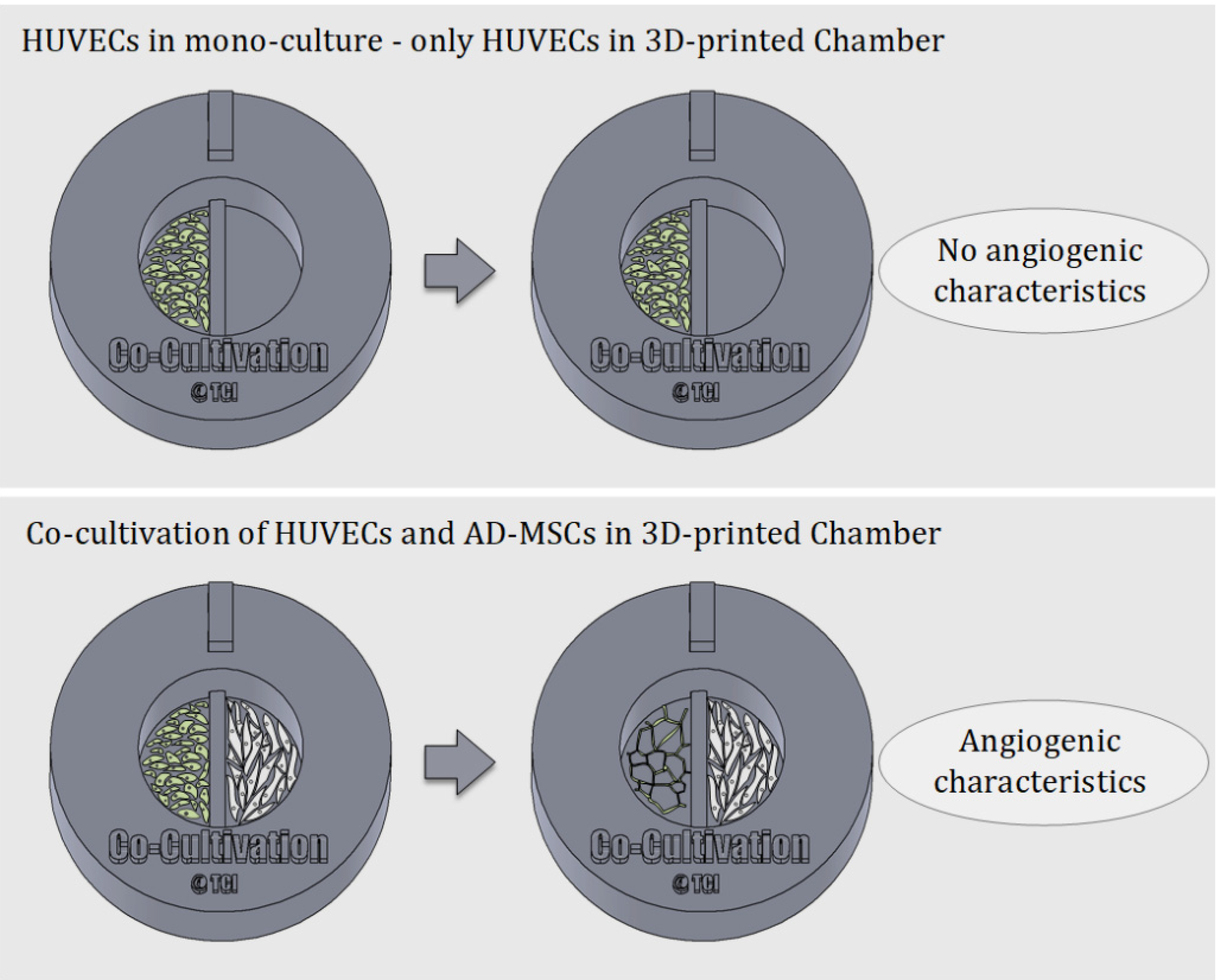 Customizable 3D-Printed (Co-)Cultivation Systems for In Vitro Study of ...