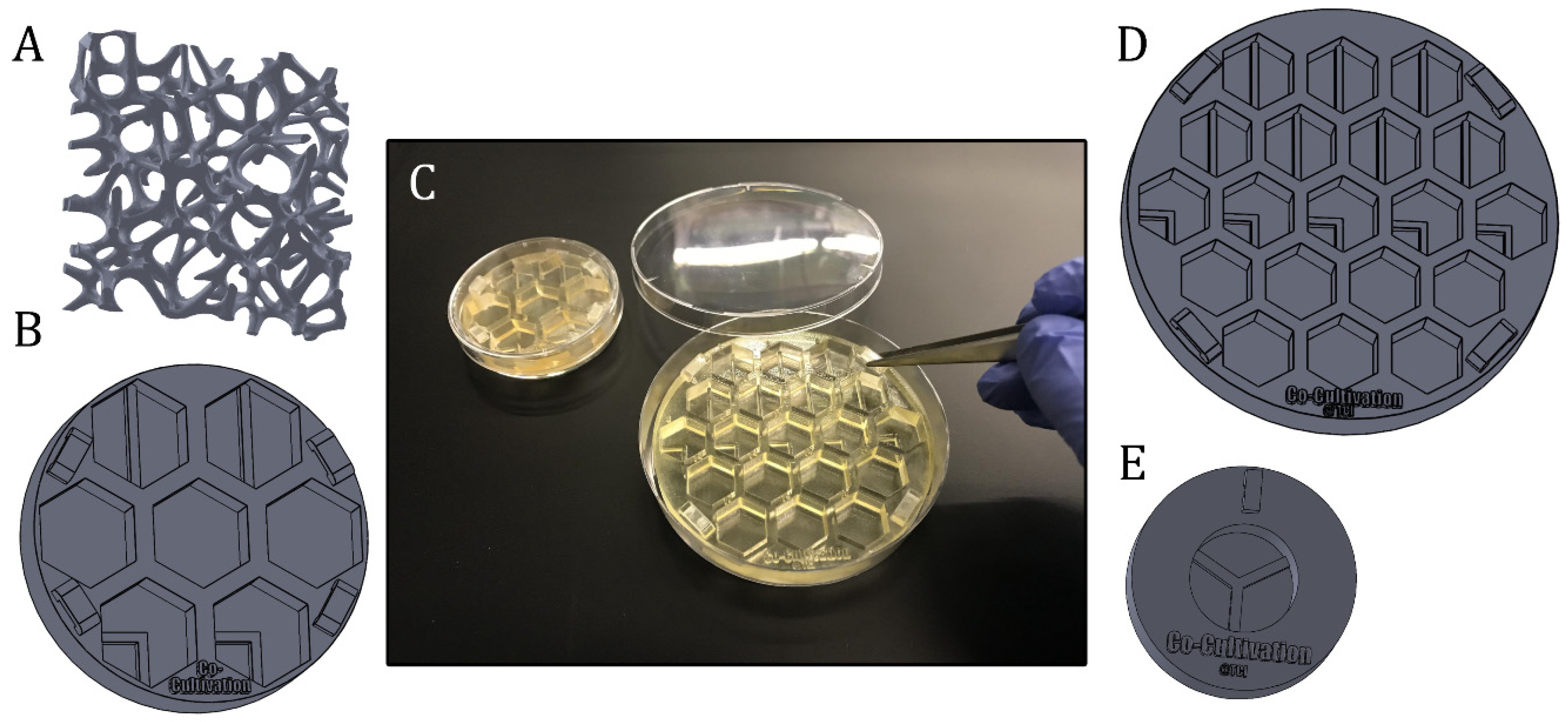 Customizable 3D-Printed (Co-)Cultivation Systems for In Vitro Study of ...