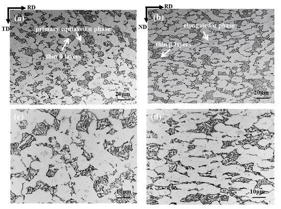 Impact Toughness Anisotropy of TA31 Titanium Alloy Cylindrical Shell ...