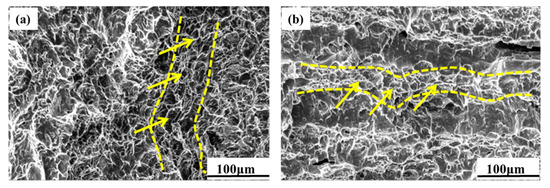 Impact Toughness Anisotropy of TA31 Titanium Alloy Cylindrical Shell ...