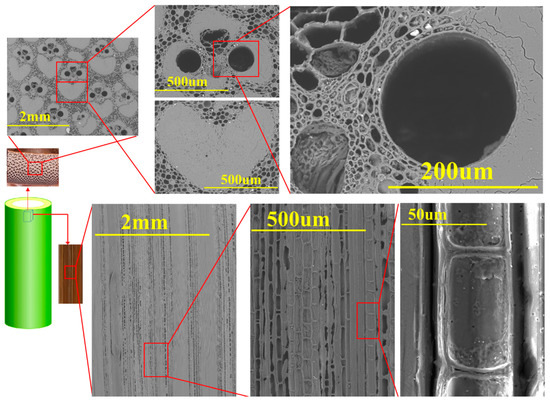 Densification of Bamboo: State of the Art