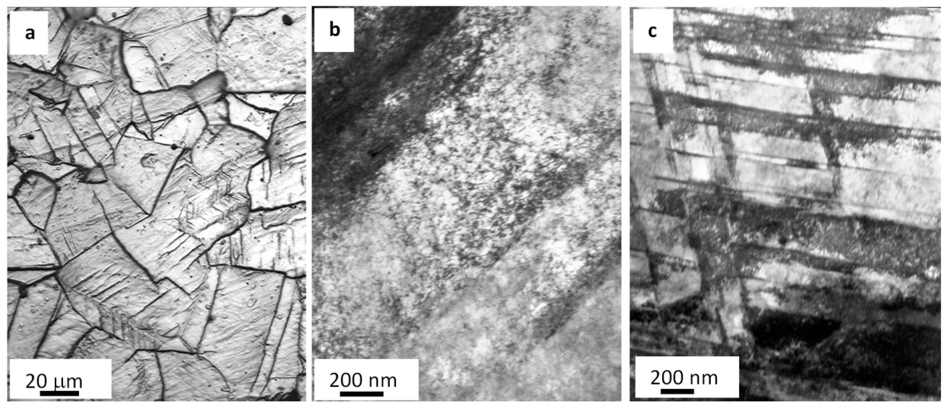 Fatigue-Induced Evolution of AISI 310S Steel Microstructure after ...