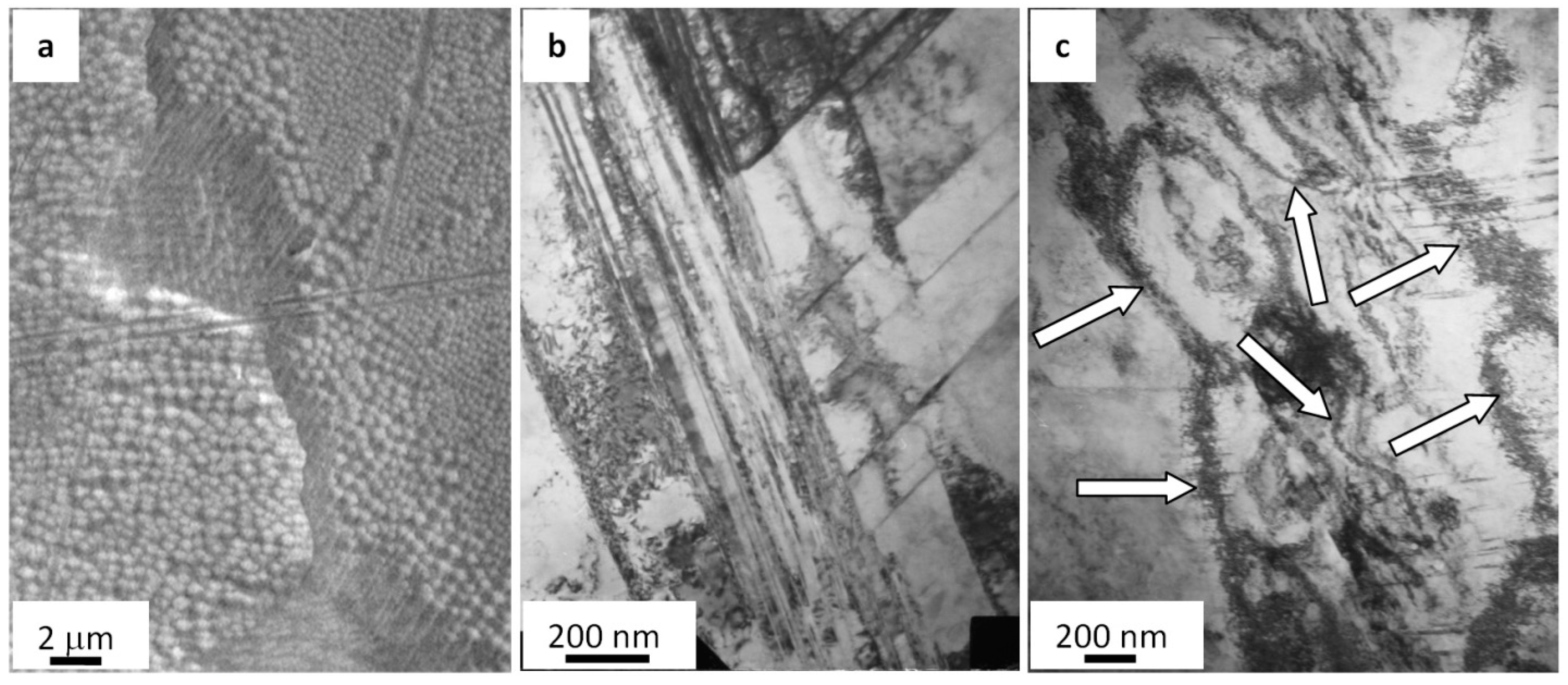 Fatigue-Induced Evolution of AISI 310S Steel Microstructure after ...
