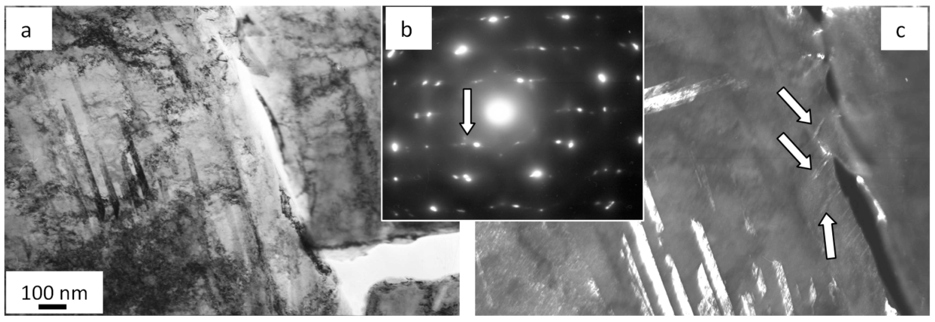 Fatigue-Induced Evolution of AISI 310S Steel Microstructure after ...