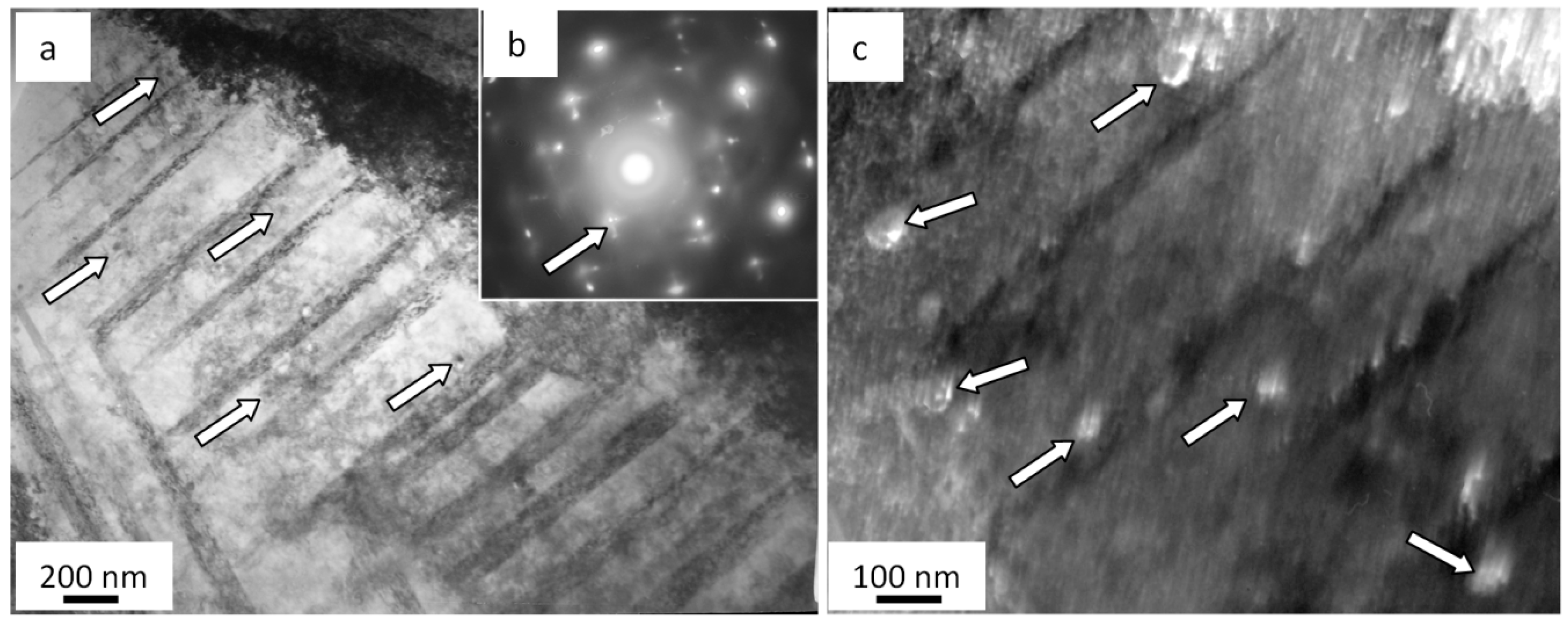 Fatigue-Induced Evolution of AISI 310S Steel Microstructure after ...