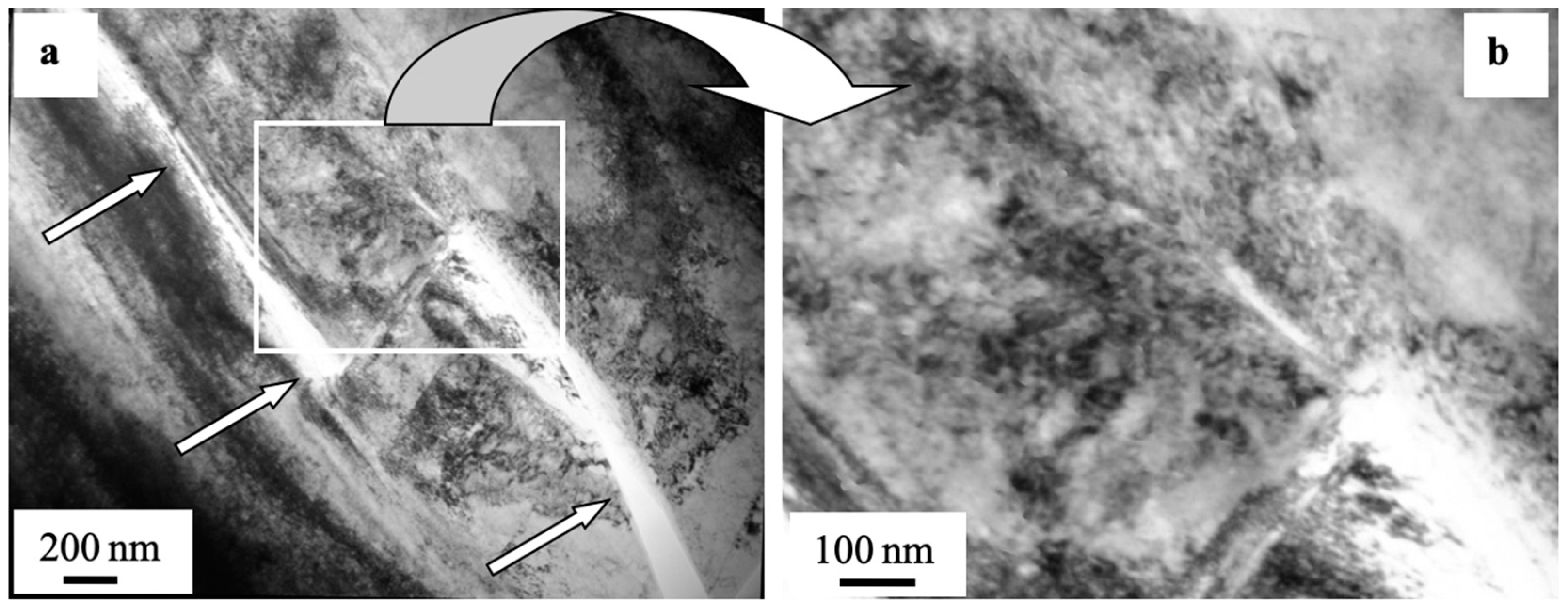Fatigue-Induced Evolution of AISI 310S Steel Microstructure after ...