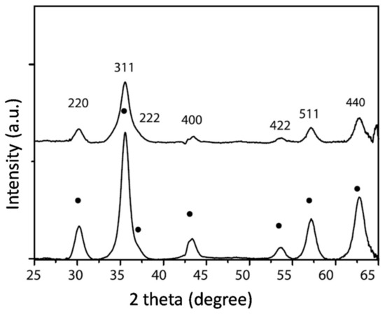 Magnetic Iron Oxide Nanoparticle (IONP) Synthesis to Applications ...