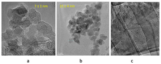 Magnetic Iron Oxide Nanoparticle (IONP) Synthesis to Applications ...
