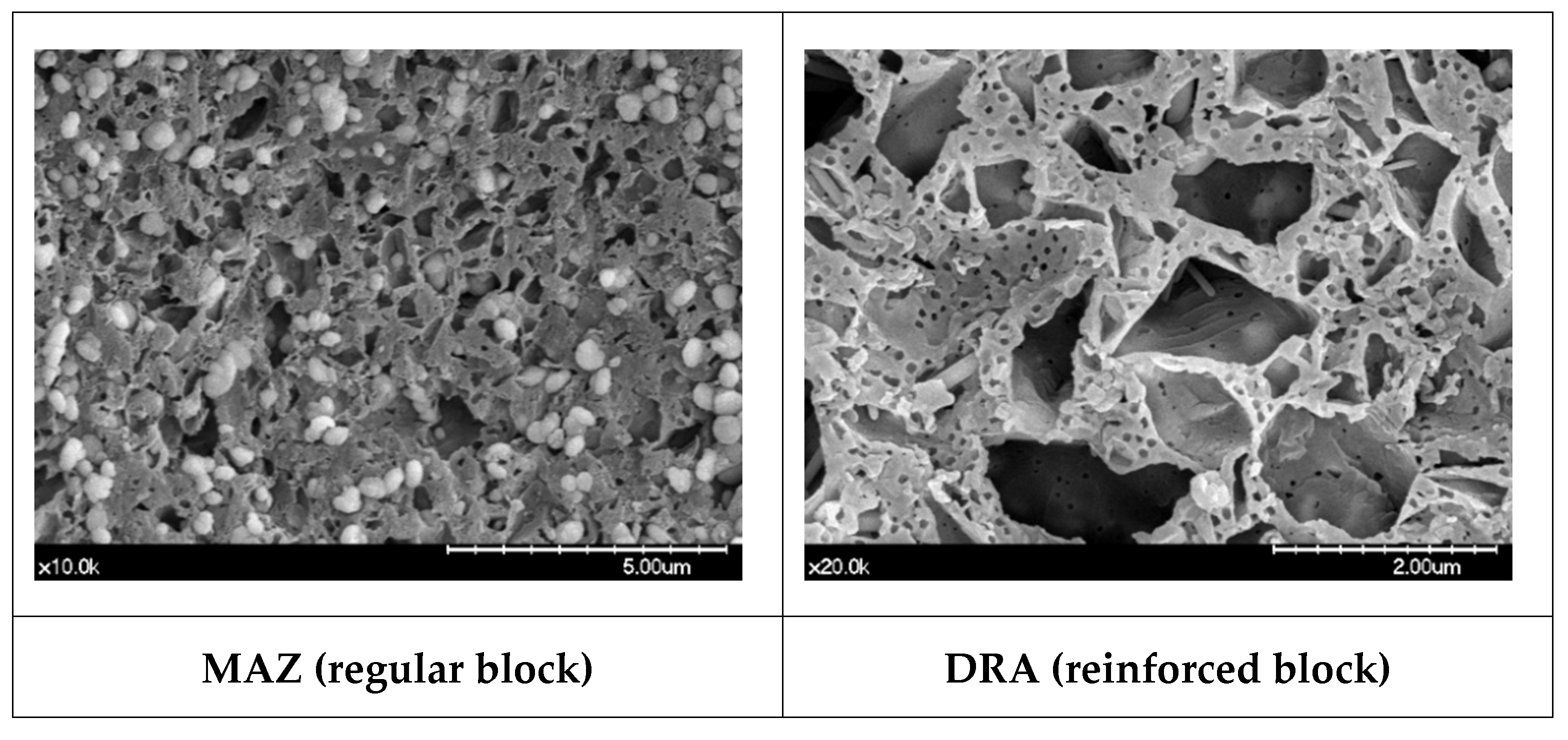 Color Stability of Dental Reinforced CAD/CAM Hybrid Composite Blocks ...