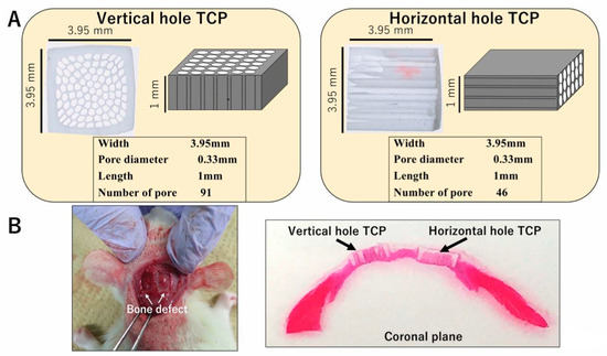Effect of Honeycomb β-TCP Geometrical Structure on Bone Tissue ...