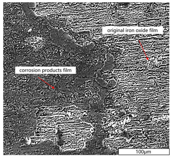 Corrosion of High-Strength Steel Wires under Tensile Stress