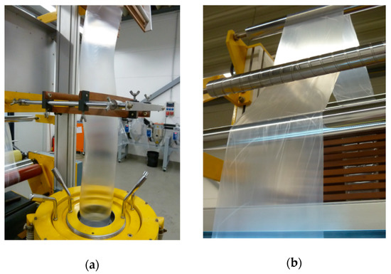 Uncompatibilized PBAT/PLA Blends: Manufacturability, Miscibility and ...