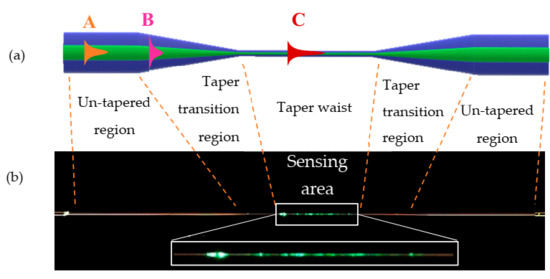 SPR Effect Controlled by an Electric Field in a Tapered Optical Fiber ...