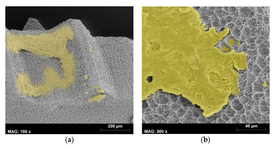 Characterization of a Macro- and Micro-Textured Titanium Grade 5 Alloy ...