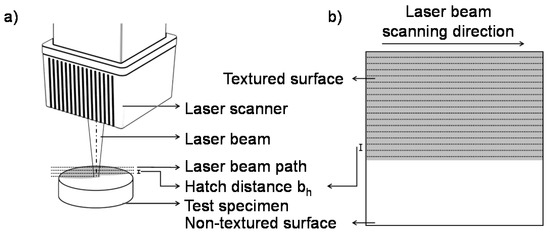 Preclinical In Vitro Assessment of Submicron-Scale Laser Surface ...