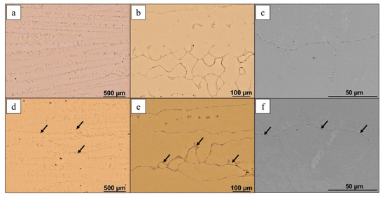 Investigation of the Dendritic Structure Influence on the Electrical ...