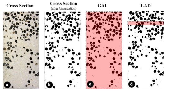 Influence of The Segregation Phenomenon on Structural Efficiency of ...
