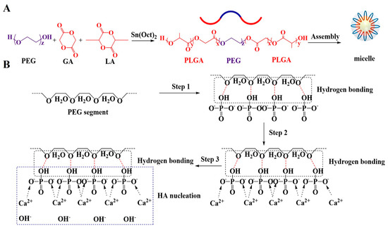 Setting Characteristics and High Compressive Strength of an Anti-washout, Injectable Calcium ...