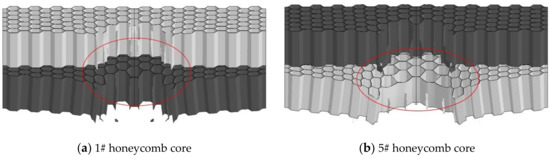 Micro Fracture Behavior of Composite Honeycomb Sandwich Structure