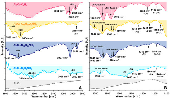 Molecular Decoration of Ceramic Supports for Highly Effective Enzyme ...