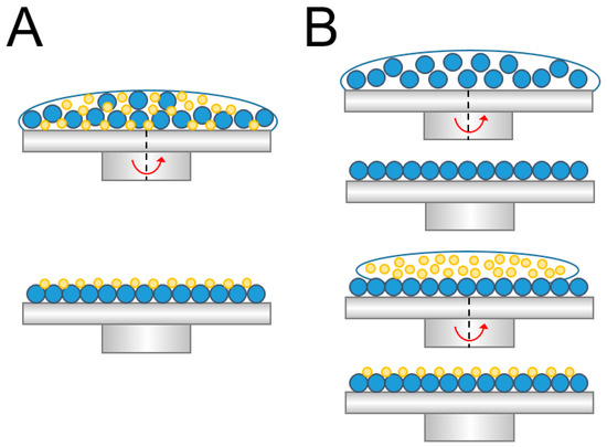 Binary Self-Assembly of Nanocolloidal Arrays using Concurrent and Sequential Spin Coating Techniques
