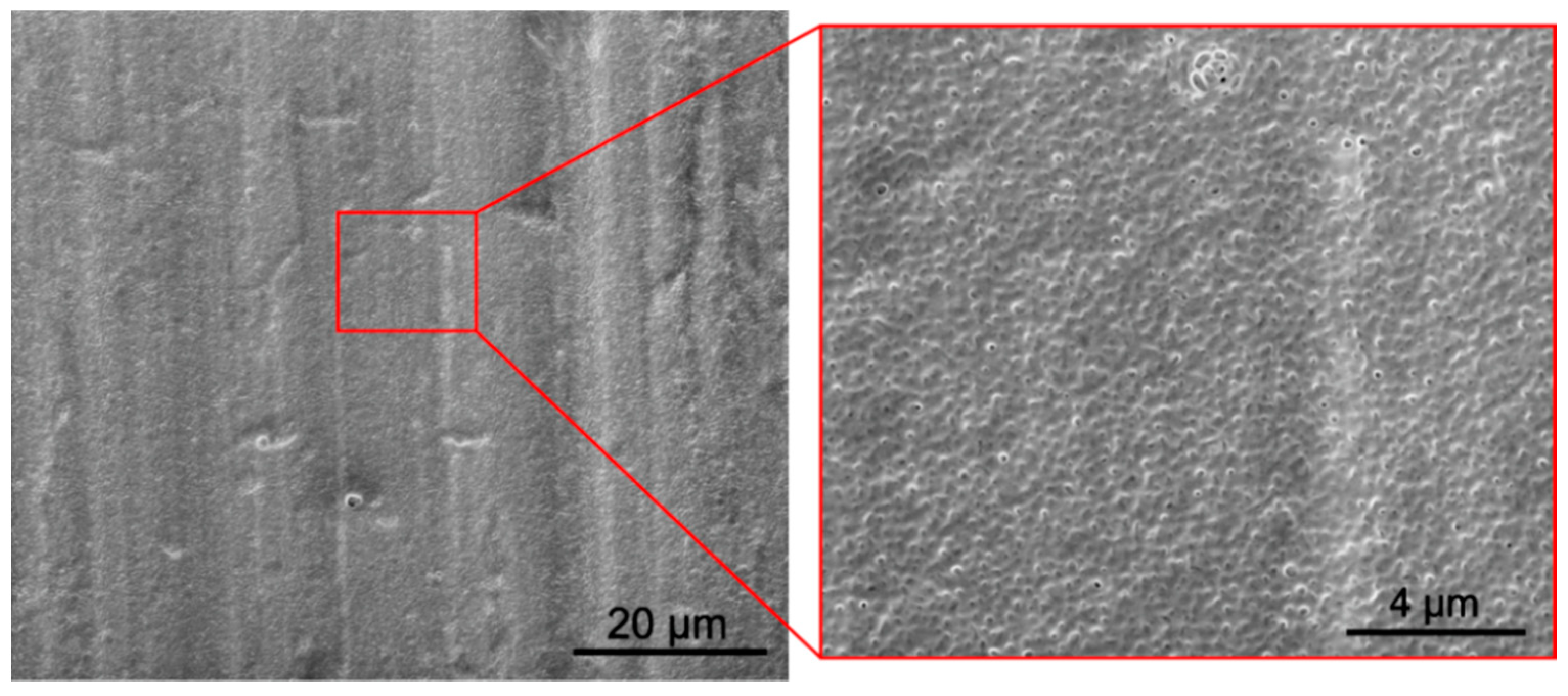 The Effect of Electrophoretic Deposition Parameters on the ...