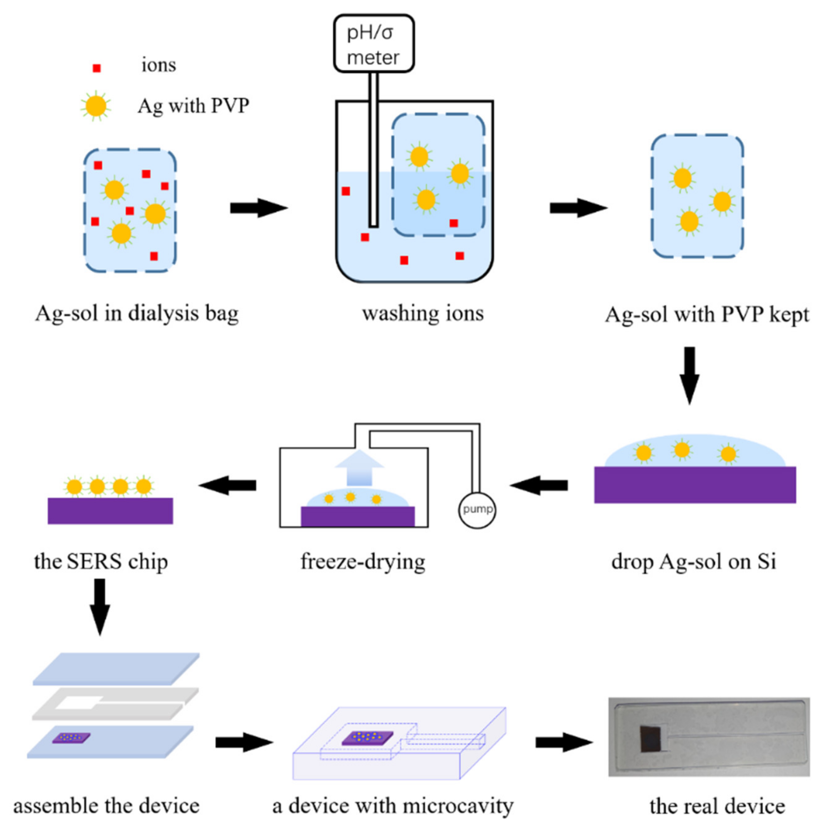 Gas Sensor Based on Surface Enhanced Raman Scattering
