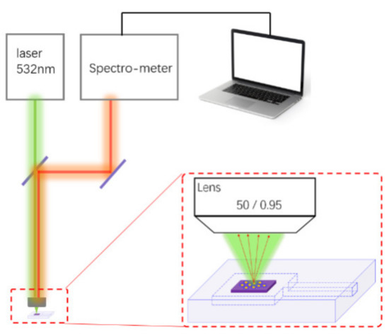 Gas Sensor Based on Surface Enhanced Raman Scattering