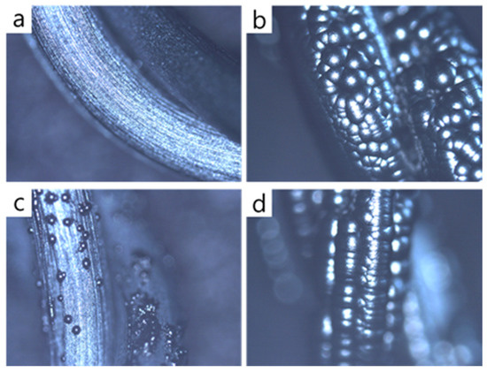 Unusual Dependence of the Diamond Growth Rate on the Methane ...