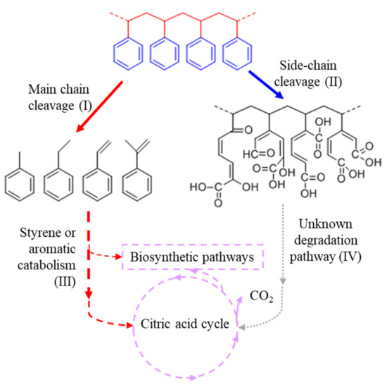 Potential for and Distribution of Enzymatic Biodegradation of ...