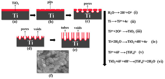 Highly Ordered TiO2 Nanotube Arrays with Engineered Electrochemical Energy Storage Performances