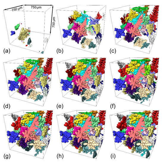 Materials | Special Issue : Phase Field Modeling for Multiphase Problems