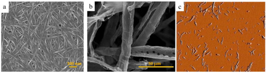 A Review on the Life Cycle Assessment of Cellulose: From Properties to ...