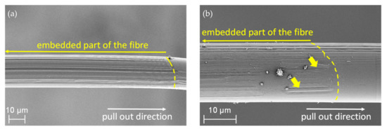 Dynamic Single-Fiber Pull-Out of Polypropylene Fibers Produced with ...