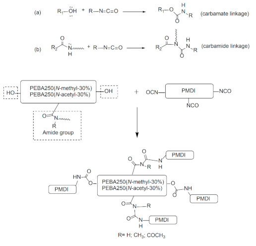 Synthesis and Characterization of N-Substituted Polyether-Block-Amide ...