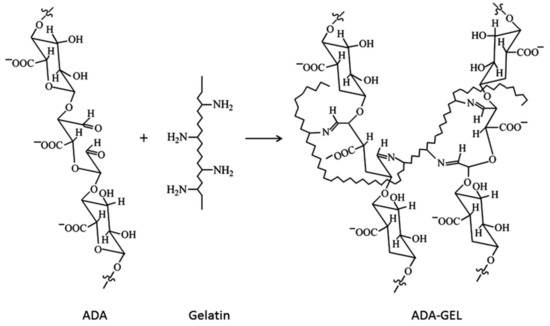 A Review on the Adaption of Alginate-Gelatin Hydrogels for 3D Cultures ...