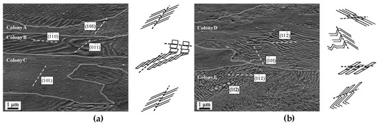 Interactions between Dislocations and Boundaries during Deformation