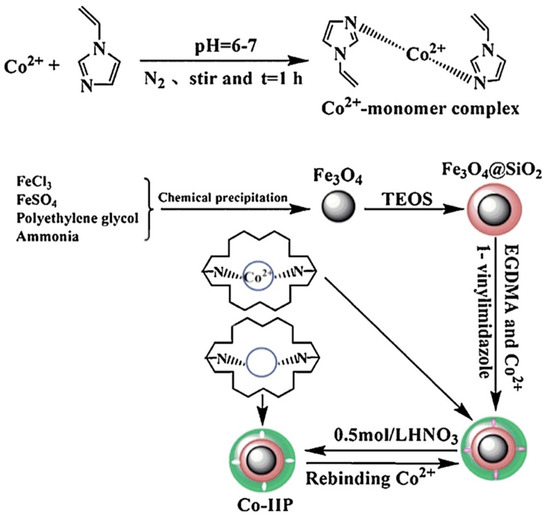 Ion-Imprinted Polymers: Synthesis, Characterization, and Adsorption of Radionuclides