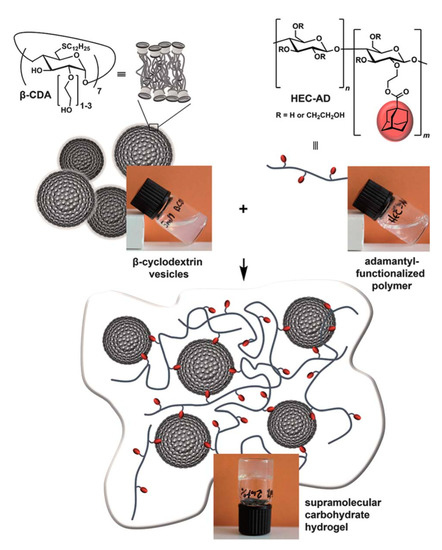 A Review on the Design and Hydration Properties of Natural Polymer ...