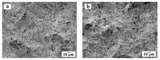 Properties of WC–10%Co–4%Cr Detonation Spray Coating Deposited on the ...