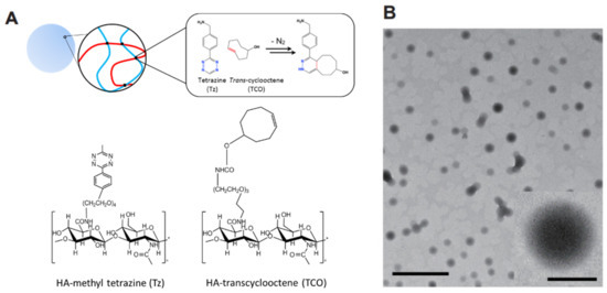 Non-Invasive Topical Drug-Delivery System Using Hyaluronate Nanogels ...