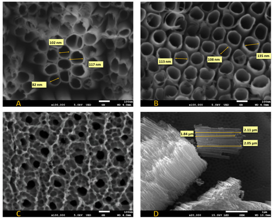 Hydrothermal Cobalt Doping of Titanium Dioxide Nanotubes towards Photoanode Activity Enhancement
