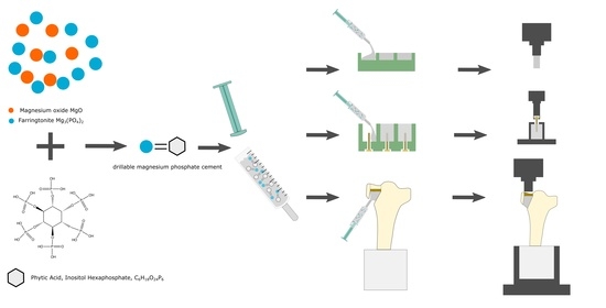 Materials | Special Issue : Bone Regeneration Materials