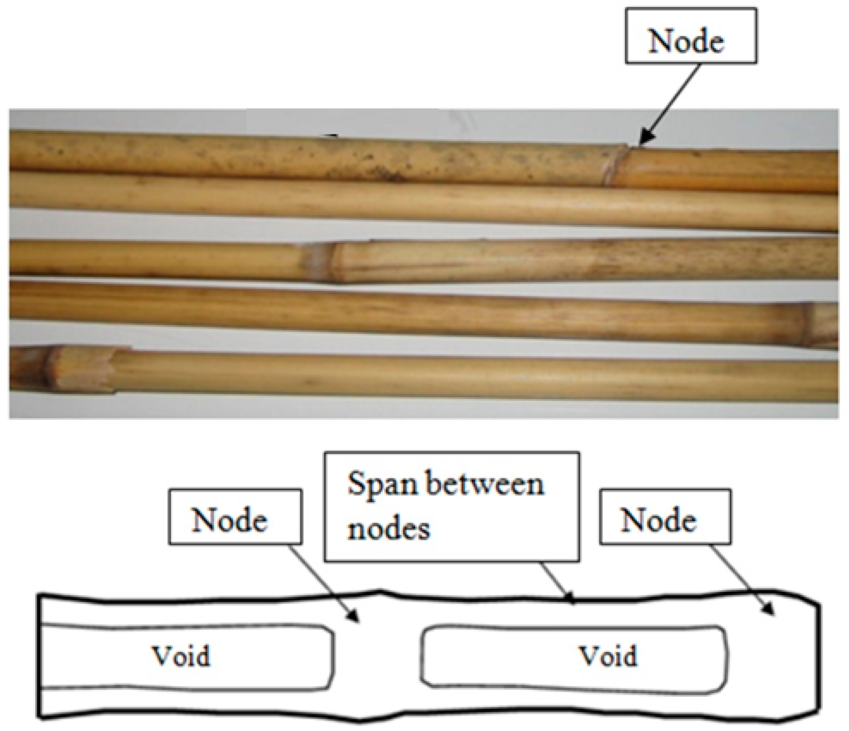 Characterization of Mechanical and Hygroscopic Properties of Individual ...