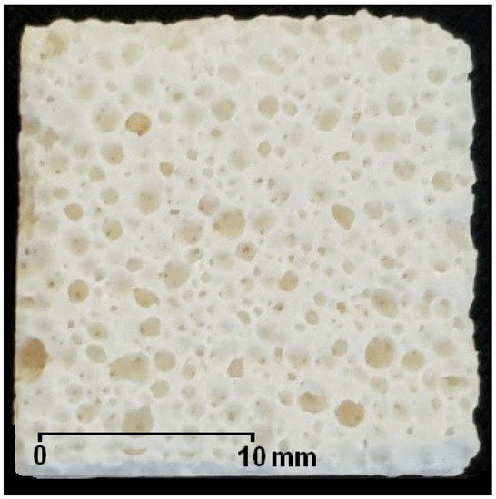 Ceramic Biomaterial Pores Stereology Analysis by the Use of Microtomography