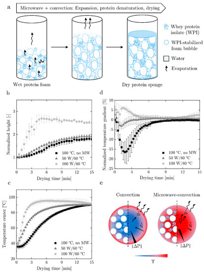 Fabrication of a Novel Protein Sponge with Dual-Scale Porosity and ...