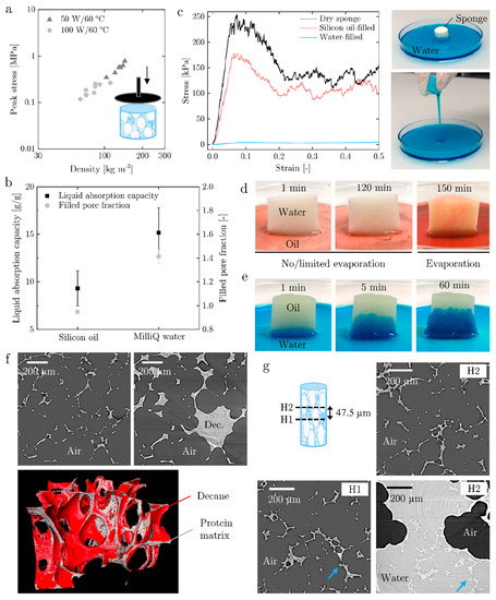Fabrication of a Novel Protein Sponge with Dual-Scale Porosity and ...