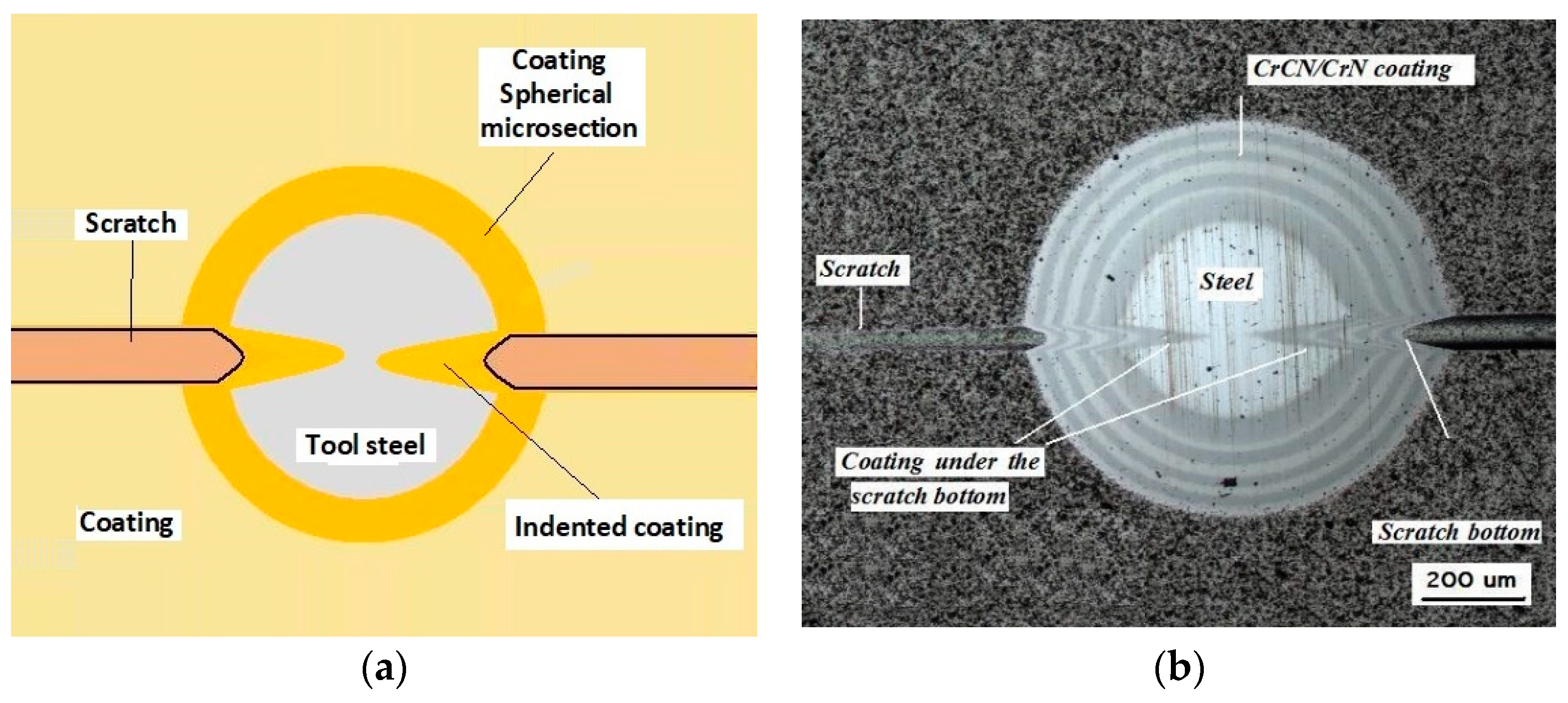 Recatest—A Technique for Qualitative and Quantitative Assessment of ...