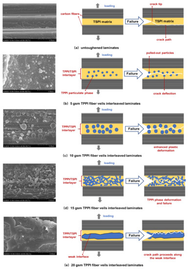 Interlaminar Fracture Behavior of Carbon Fiber/Polyimide Composites ...